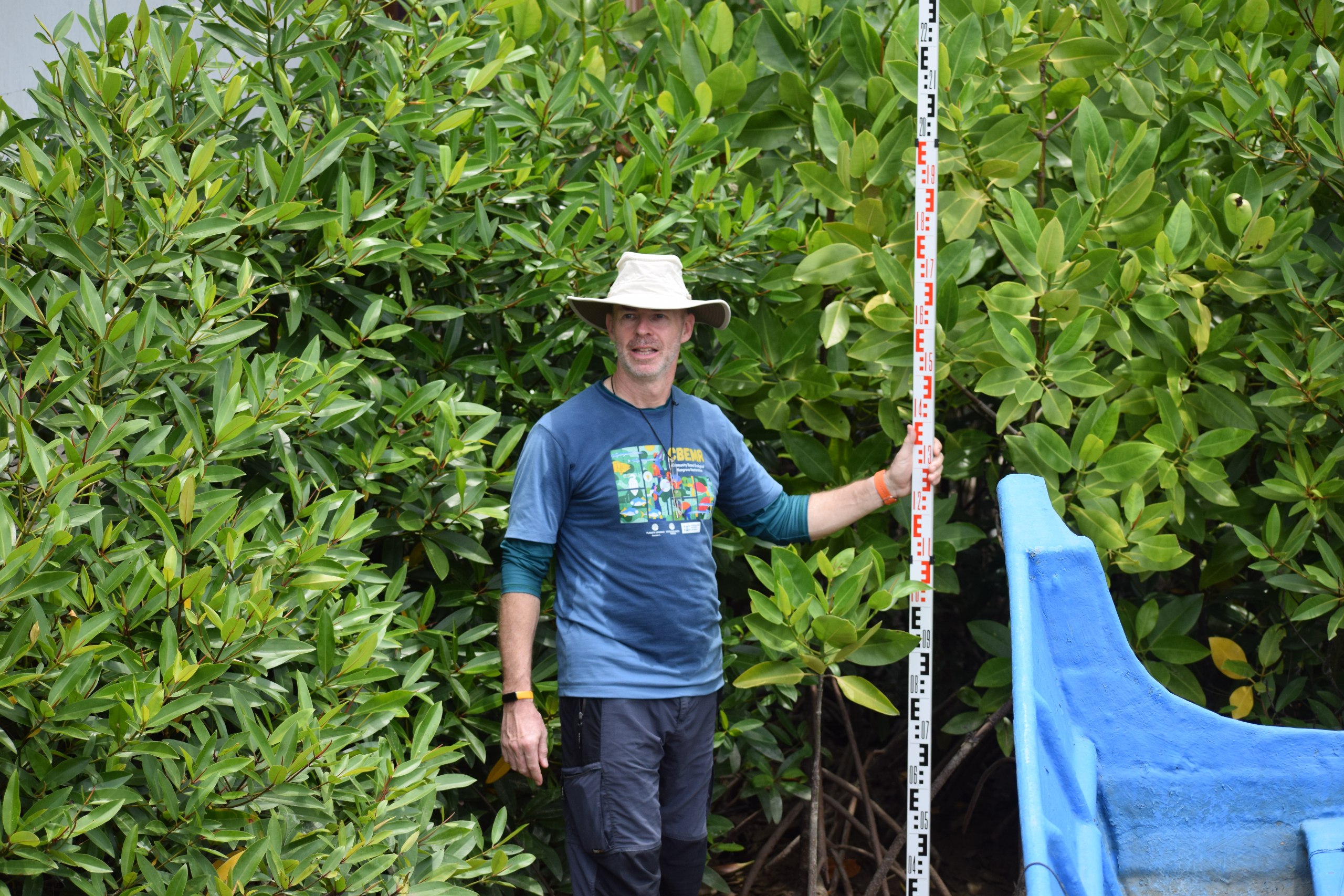 Upaya Menjaga Mangrove Tetap Lestari - Kaltim Kece