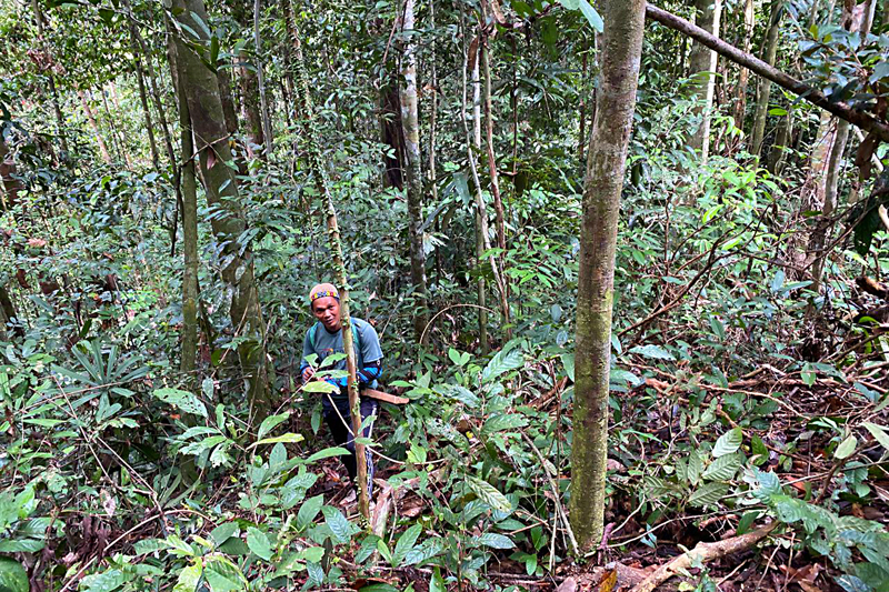 Menganyam Rotan, Memperkenalkan Budaya, Melestarikan Hutan - Kaltim Kece
